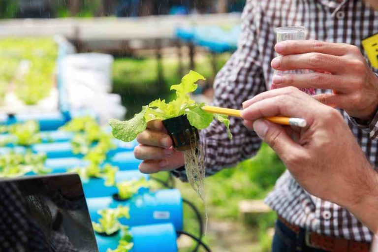 VIC AgTech Grant Program - Avant Group